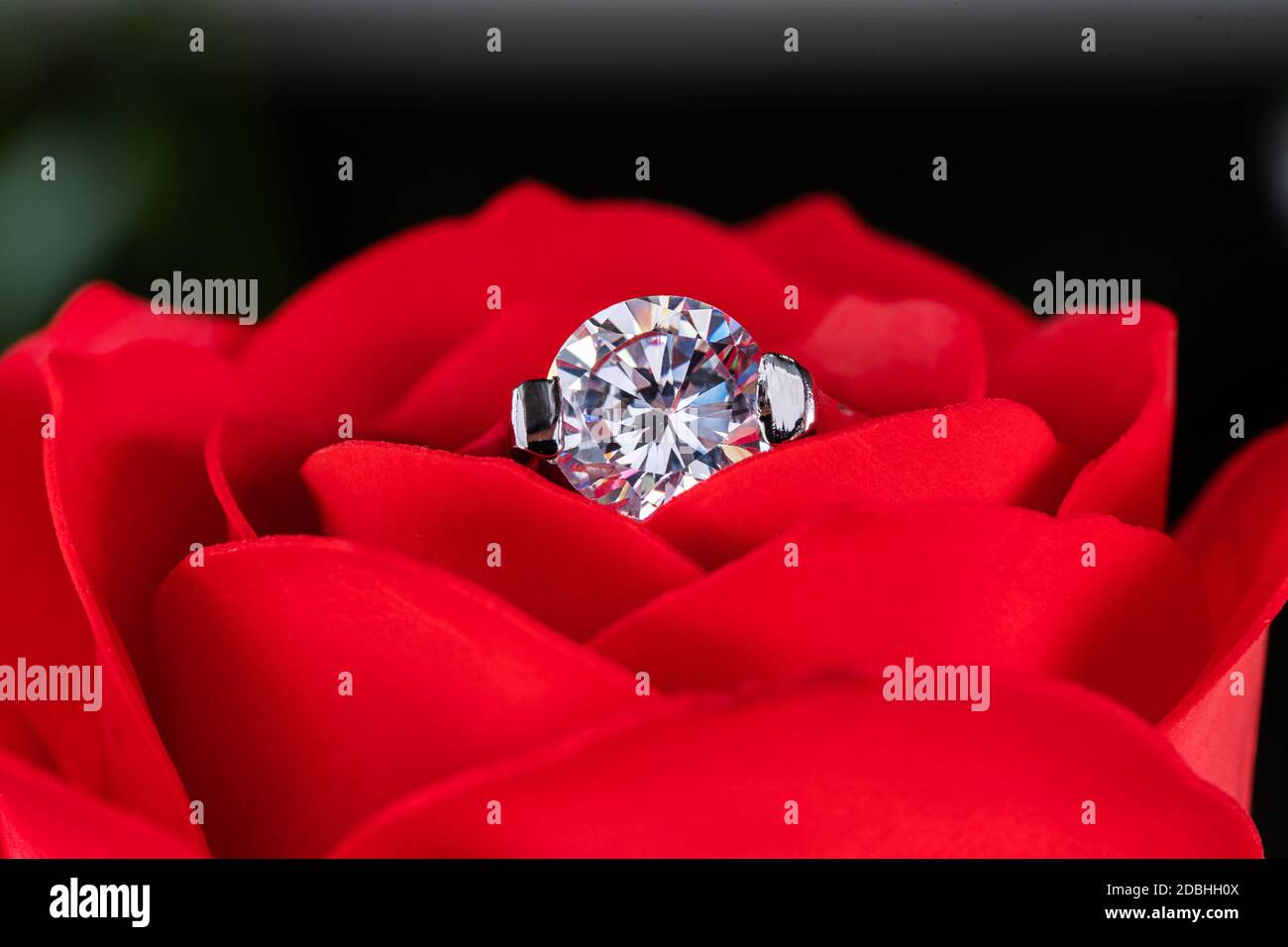 Closeup Diamond gem wedding rings on red roses leaves Stock Photo - Alamy