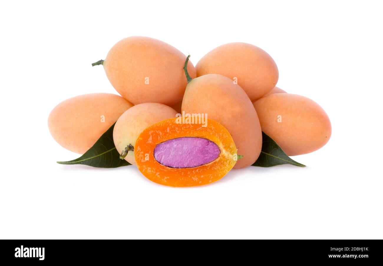 Ripe Marian Plum or Plum Mango is a bunch on a white background, sweet ...