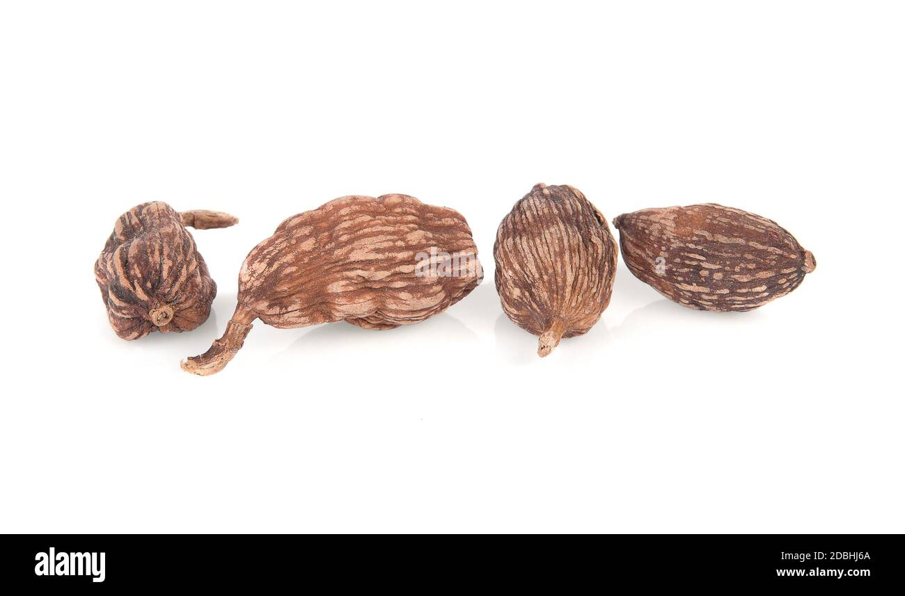 Nutmeg isolated on white background Stock Photo - Alamy