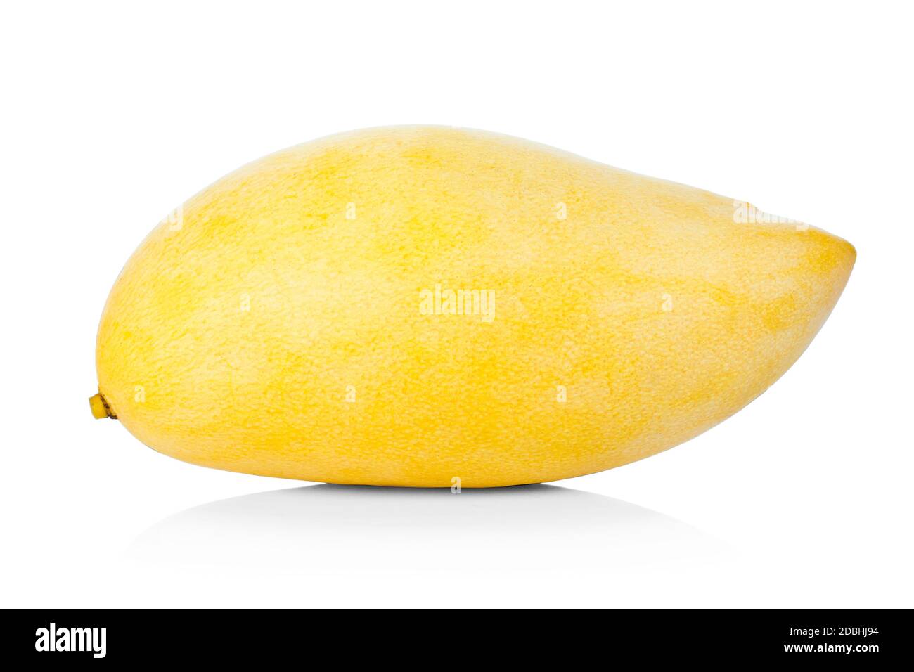 mango on white background Stock Photo - Alamy