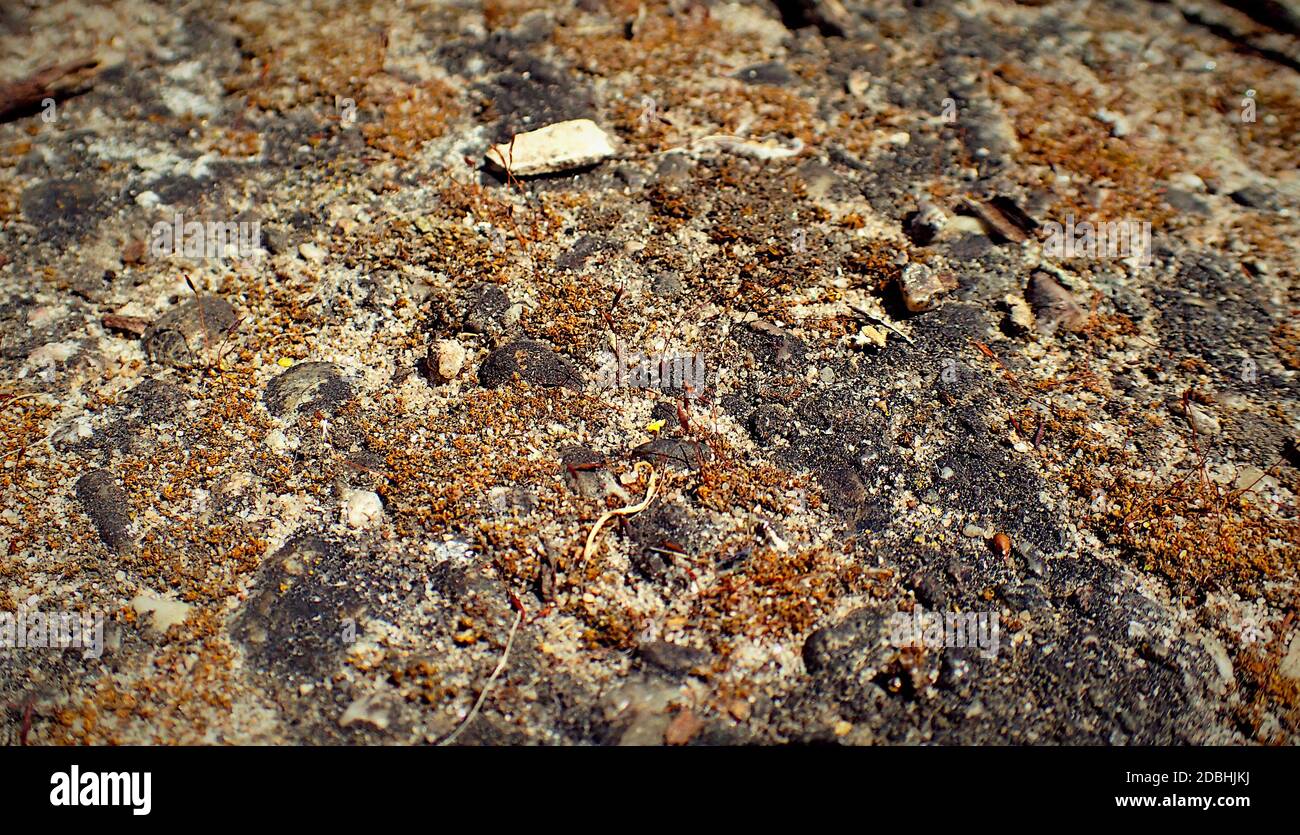 Close up ground Stock Photo - Alamy