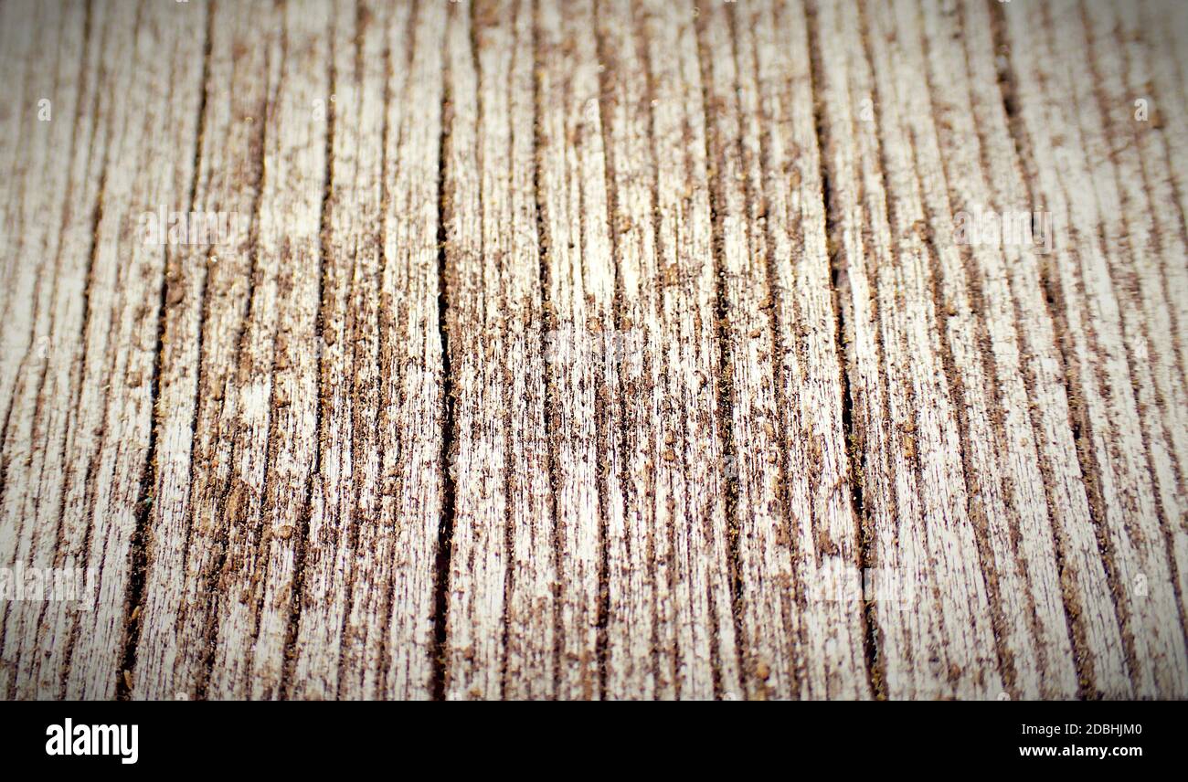 Plank of wood profile hi-res stock photography and images - Alamy