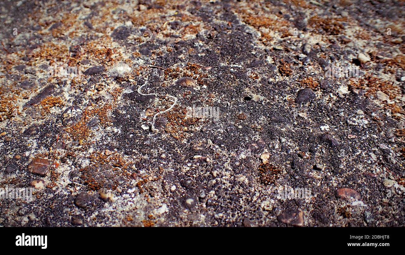 Floor rocks dirt ground close hi-res stock photography and images - Alamy