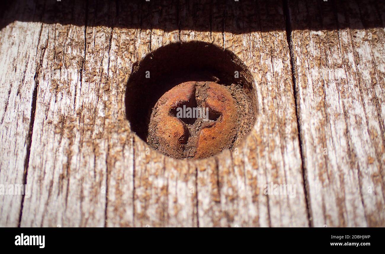 Close up screw Stock Photo - Alamy