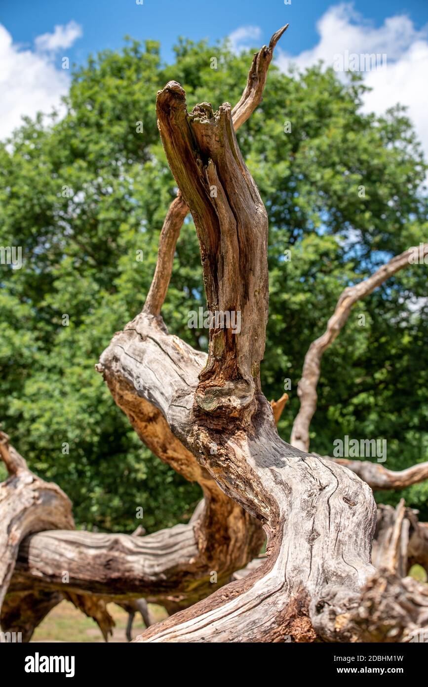 Split box hi-res stock photography and images - Alamy