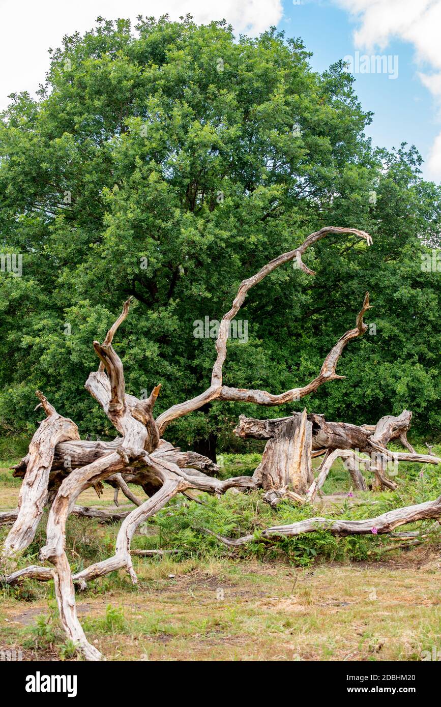 Split box hi-res stock photography and images - Alamy