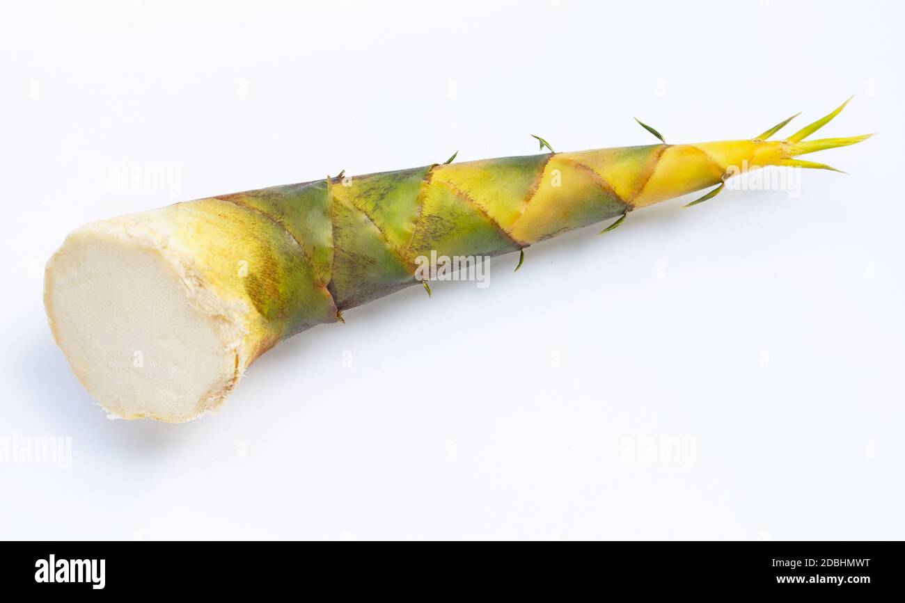 Fresh bamboo shoot on white background Stock Photo - Alamy