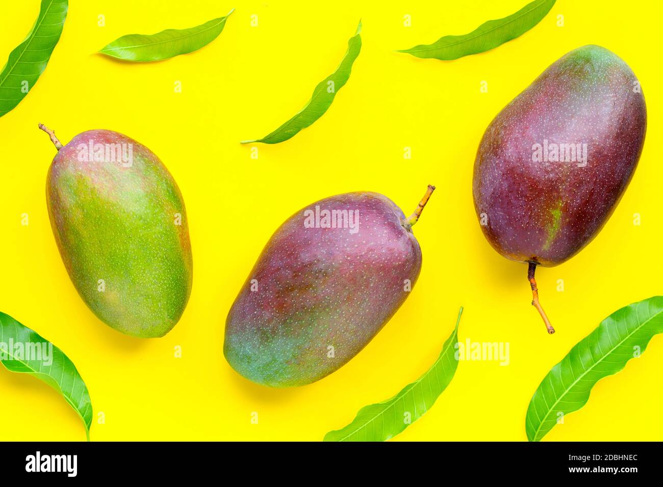 Mango, Tropical fruit with leaves on yellow background. Top view Stock ...