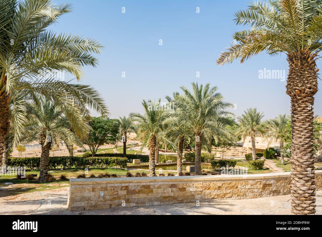 Saudi arabia landscape riyadh oasis hi-res stock photography and images ...