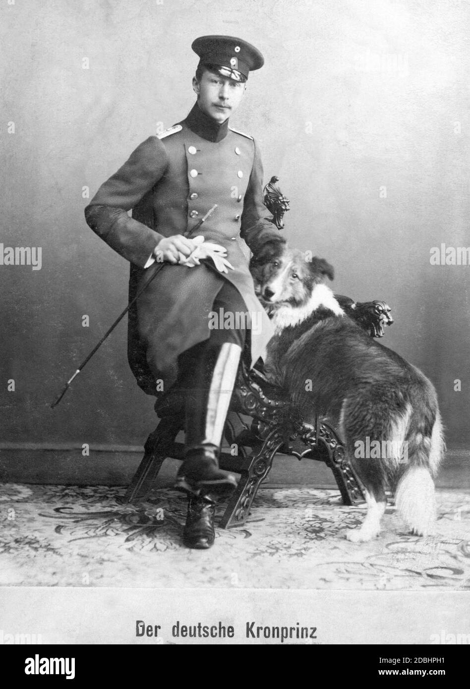 Imperial prince dog hi-res stock photography and images - Alamy