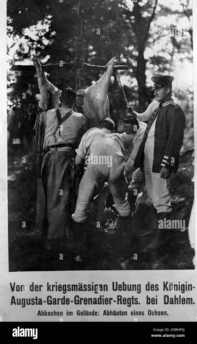 Warlike Black and White Stock Photos & Images - Alamy