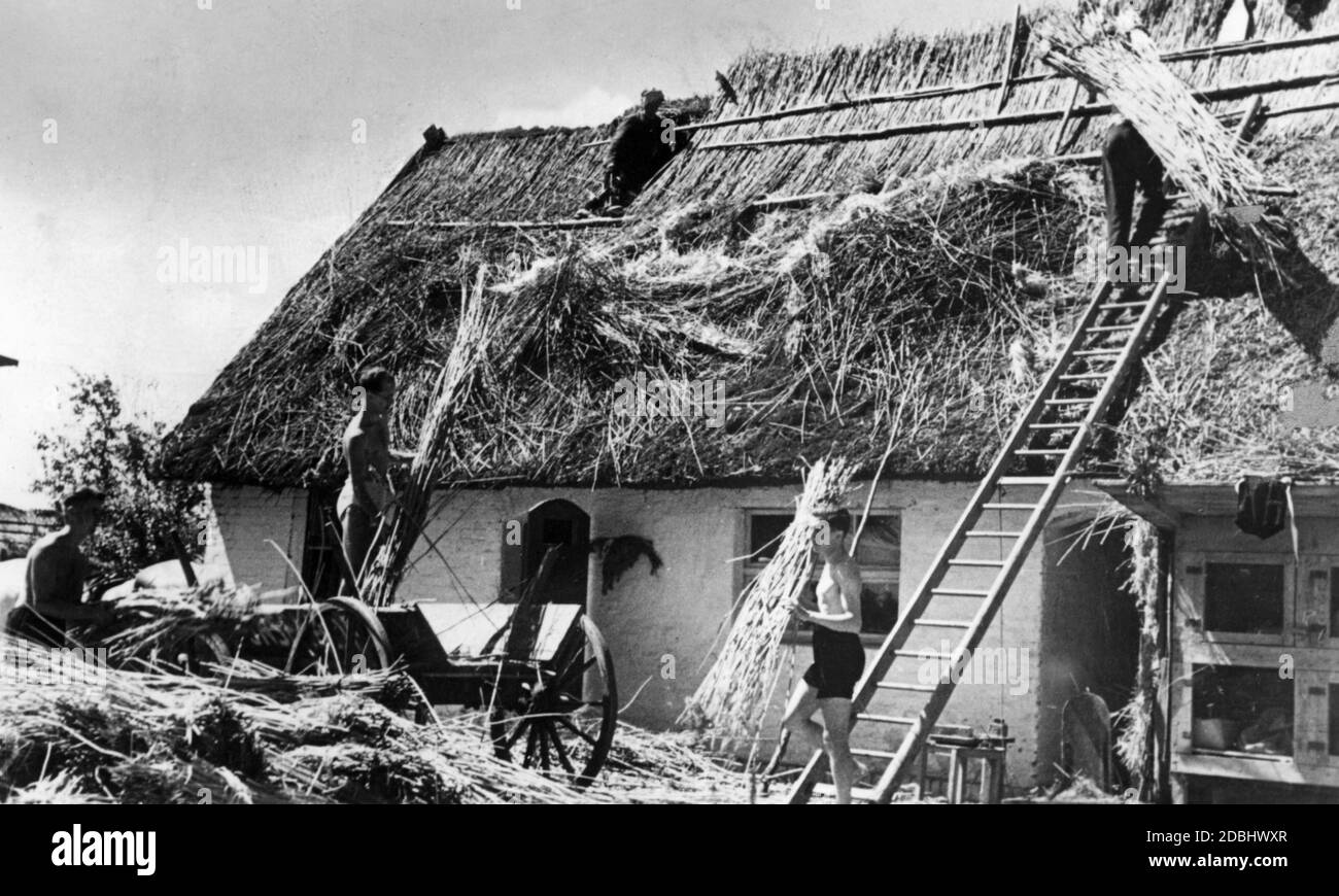 Student students community service hi-res stock photography and images ...