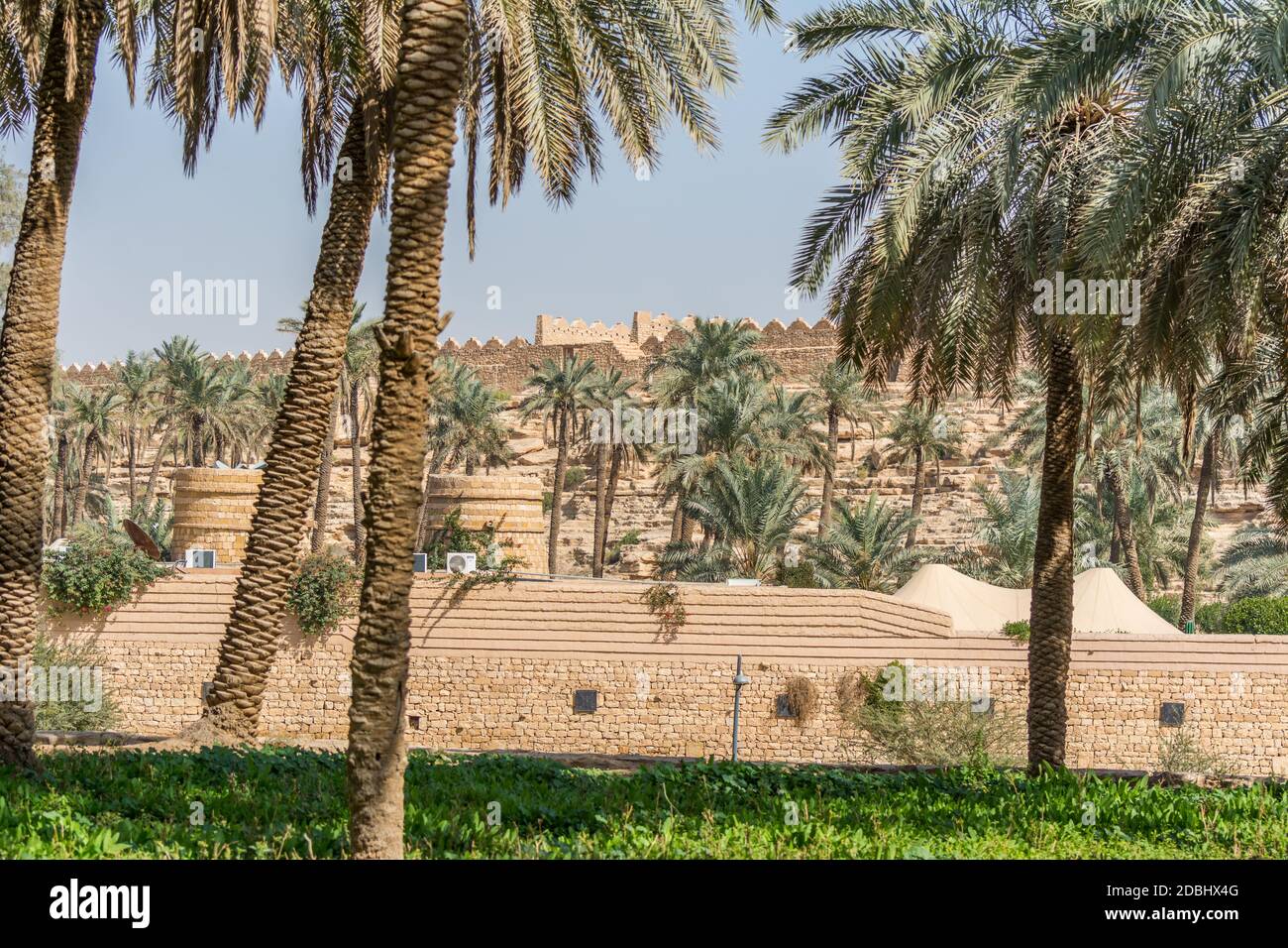 Forest of palm trees in the old Dariyah, Riyadh, the kingdom of Saudi ...