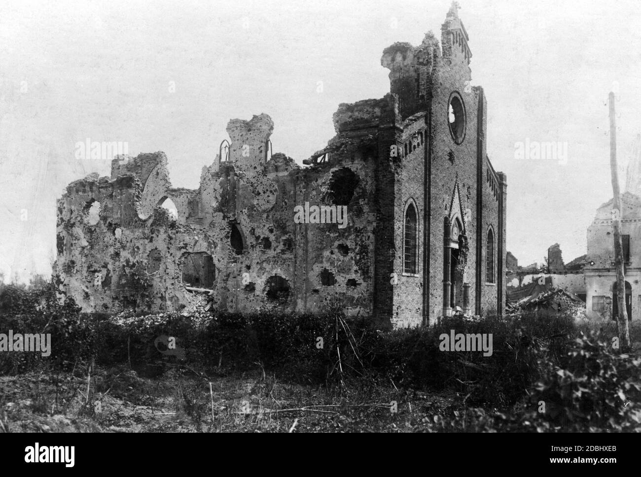 Musile hi-res stock photography and images - Alamy