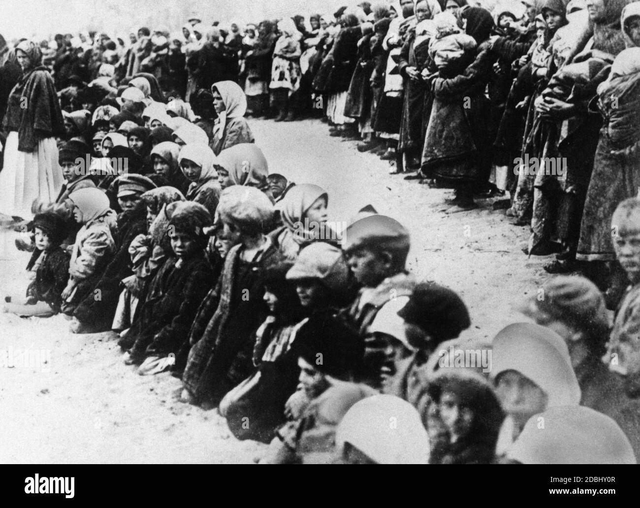 In the course of the forced collectivization of agriculture, there was ...