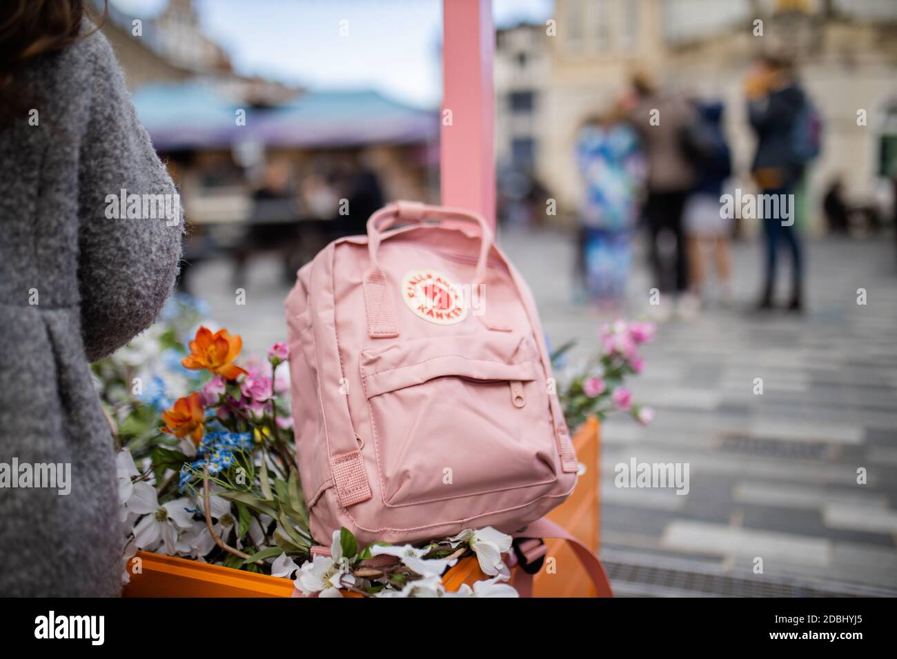 Pink backpack on top of flowers and plants with a street as background ...
