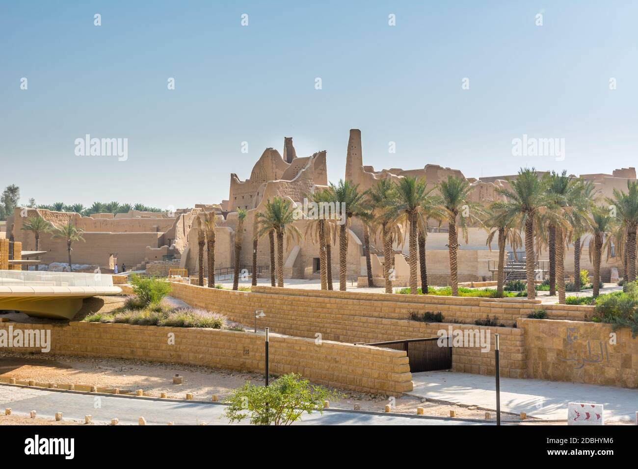 Green date trees growing in the park in the Ruins of Diraiyah, also as ...