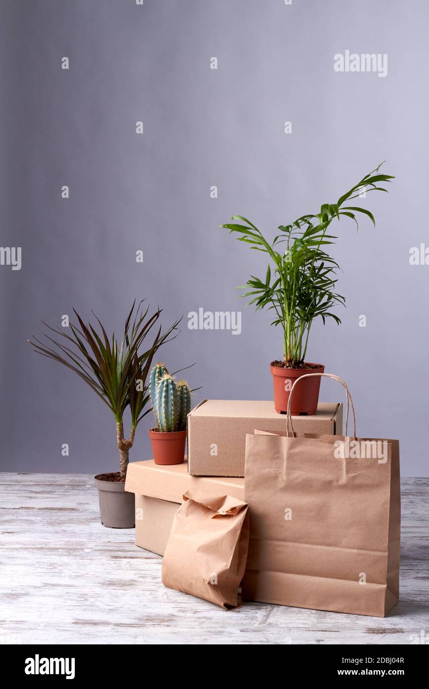 Collection recycle brown box packaging Stock Photo - Alamy