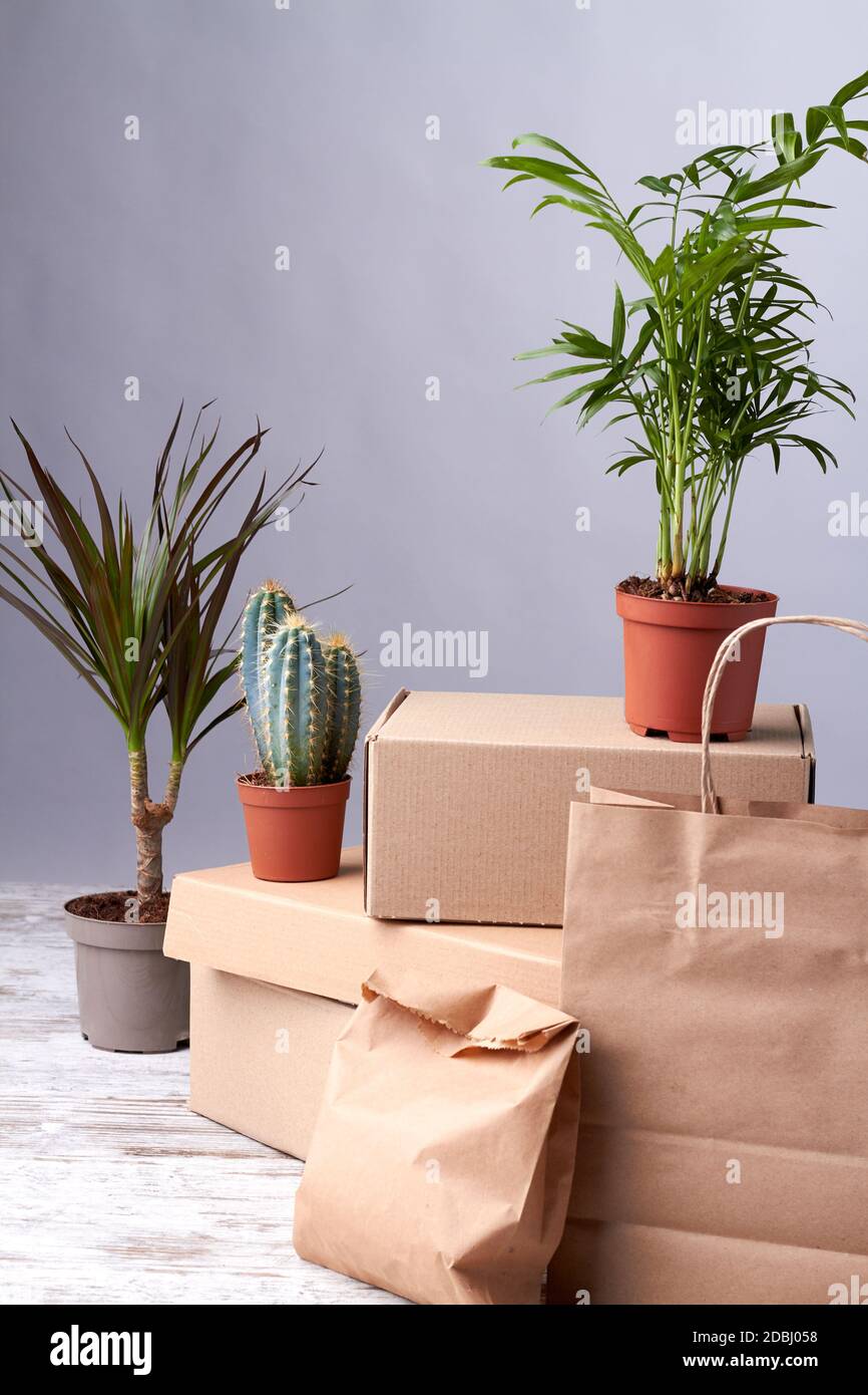 Kraft paper packaging hi-res stock photography and images - Alamy
