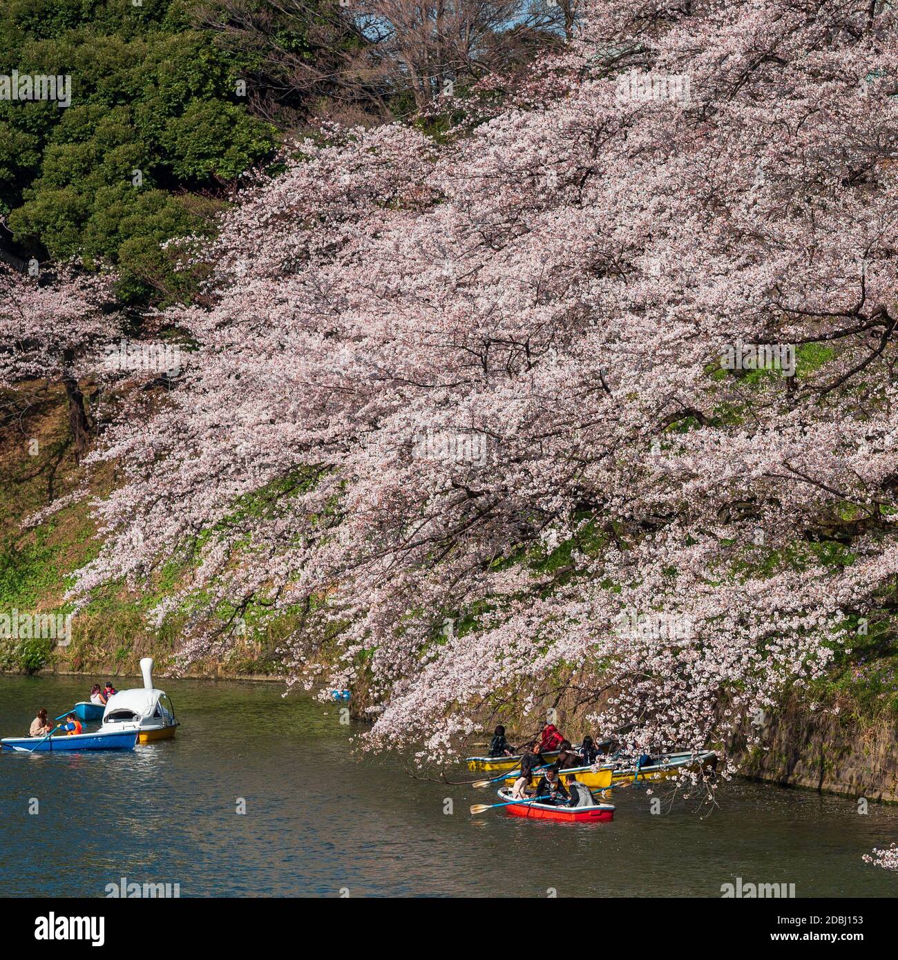 Waterways in japan hi-res stock photography and images - Alamy