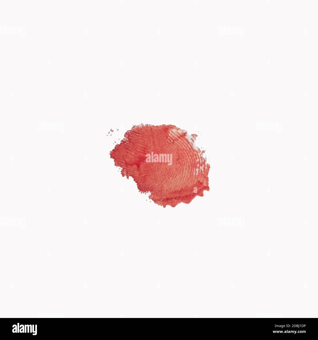 blood fingerprint isolate on white background top view grainy textured ...