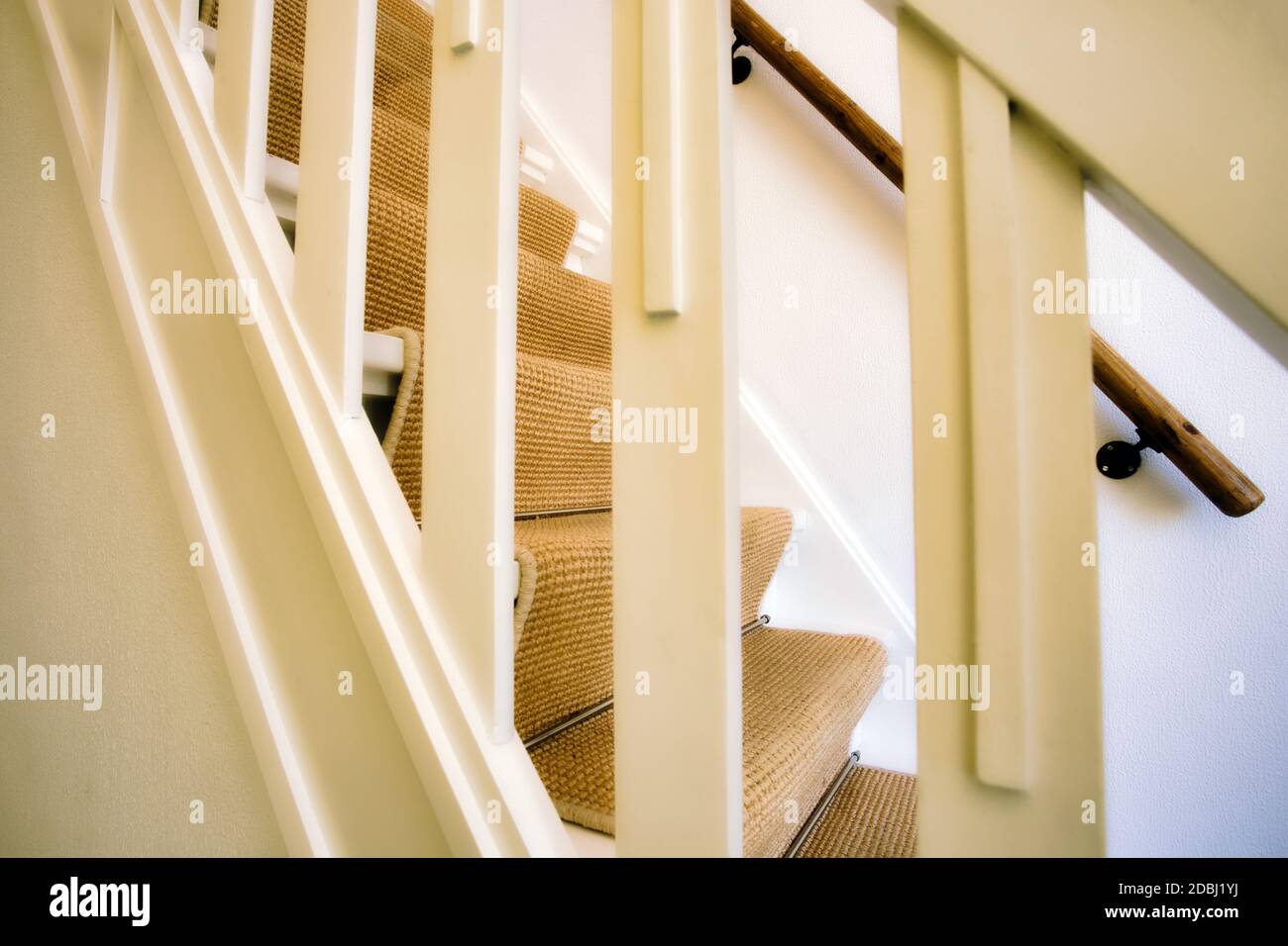modern american design white wooden stairs. Carpeted stairs and a ...