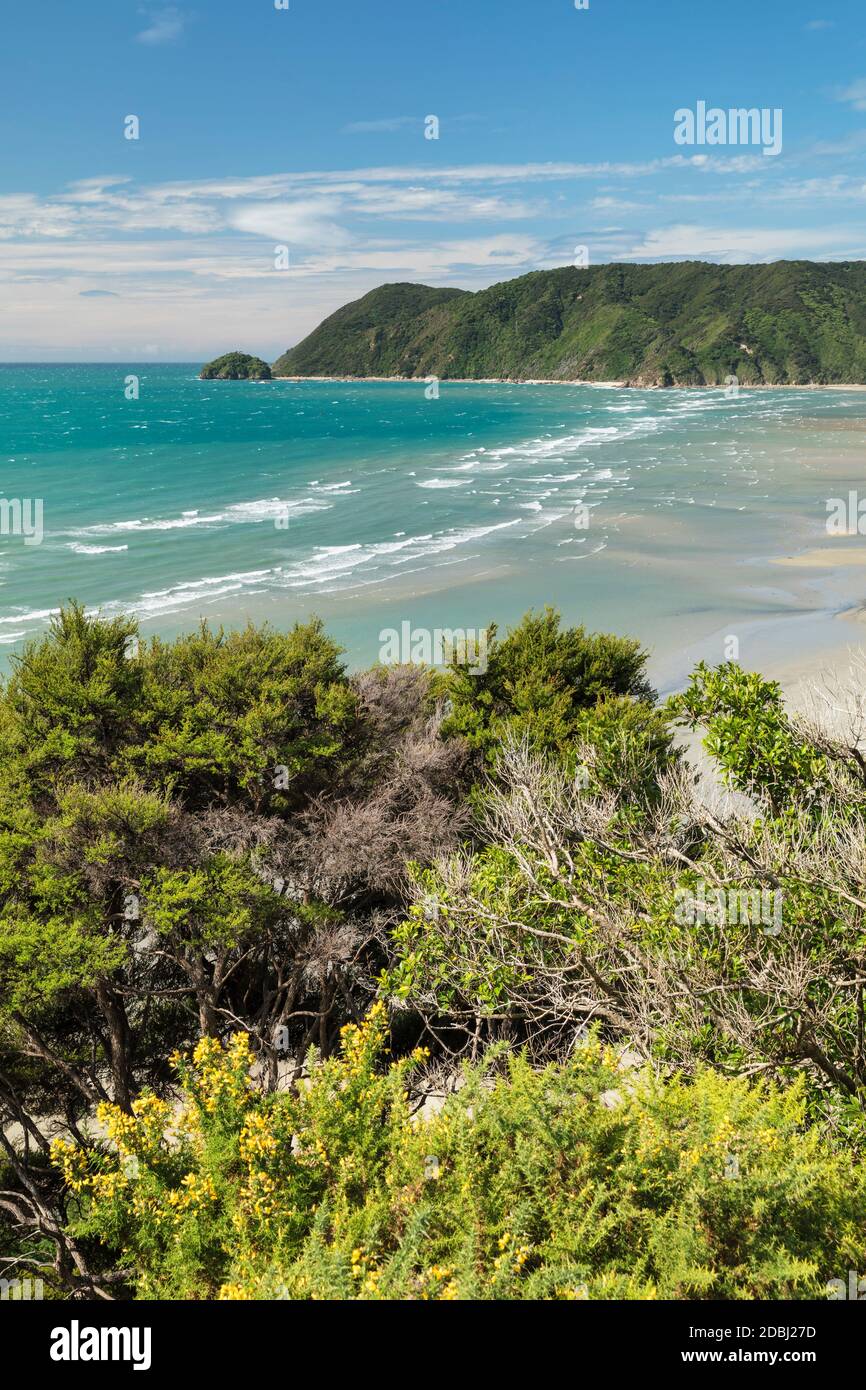 Wainui Bay, Golden Bay, Tasman, South Island, New Zealand, Pacific ...