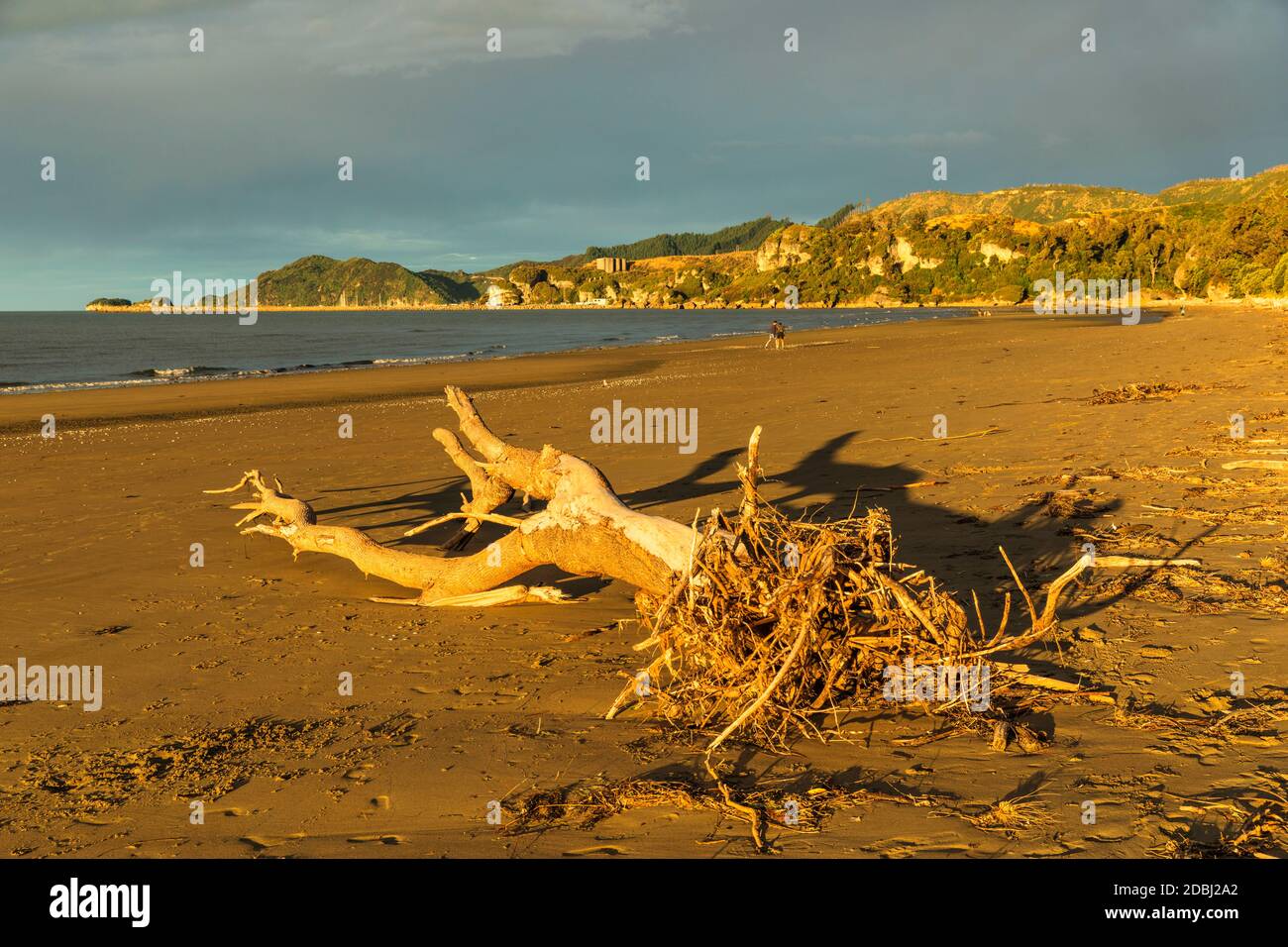 Sunset at Pohara Beach, Golden Bay, Tasman, South Island, New Zealand ...