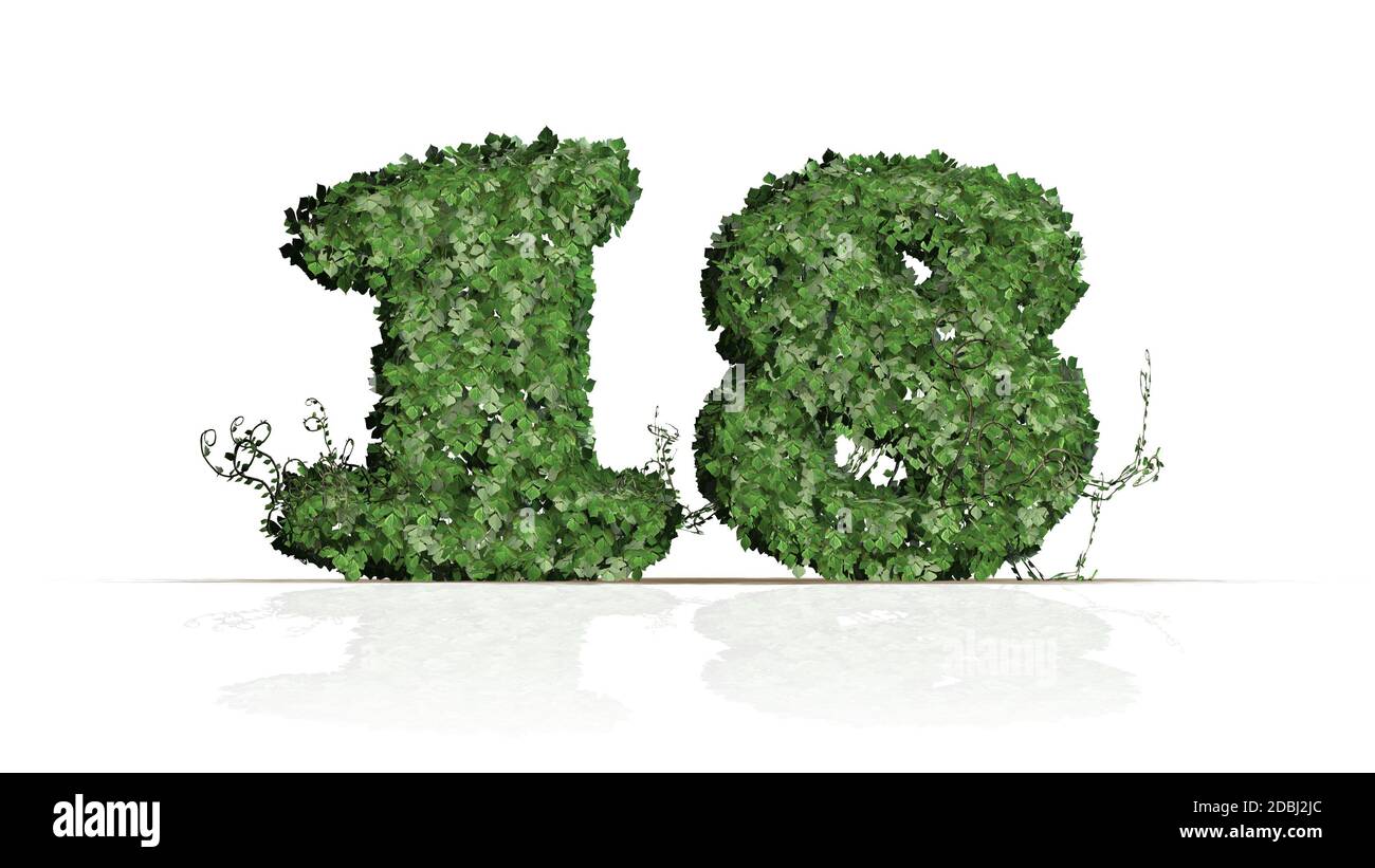 Number 18 created of green ivy leaves - isolated on a white background ...