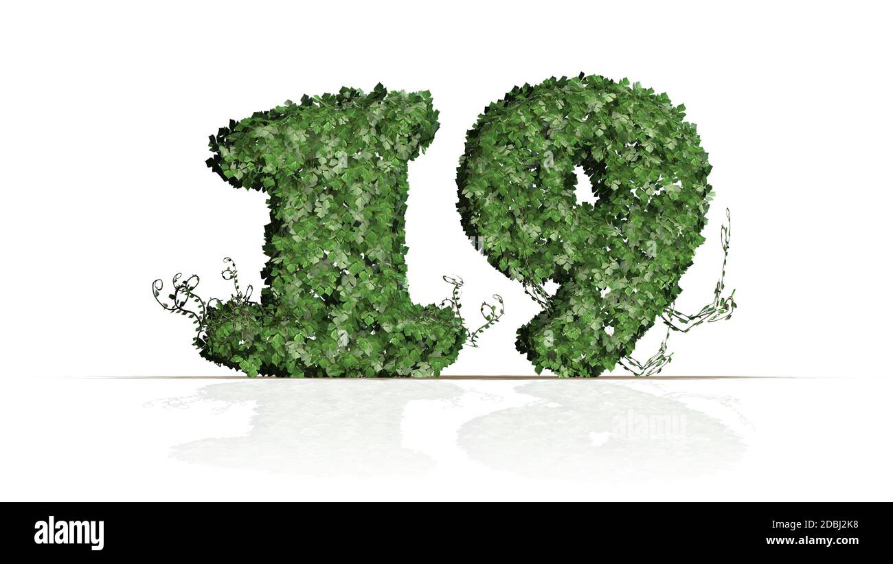 Number 19 created of green ivy leaves - isolated on a white background ...