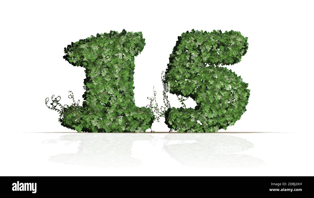 Number 15 created of green ivy leaves - isolated on a white background ...