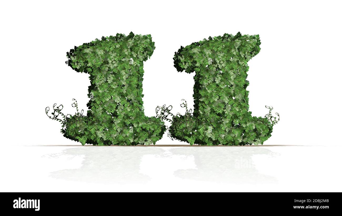 Number 11 created of green ivy leaves - isolated on a white background ...
