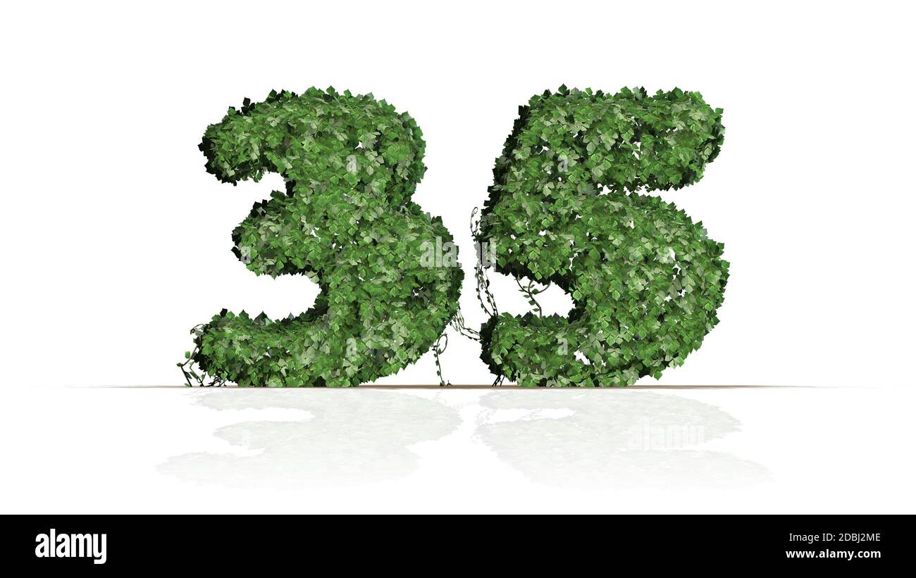 Number 35 created of green ivy leaves - isolated on a white background ...