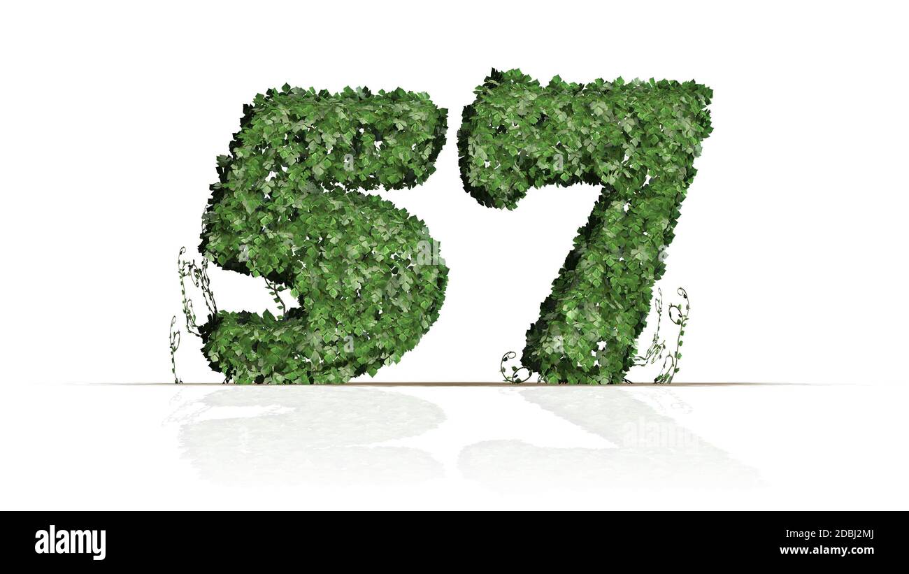 Number 57 created of green ivy leaves - isolated on a white background ...