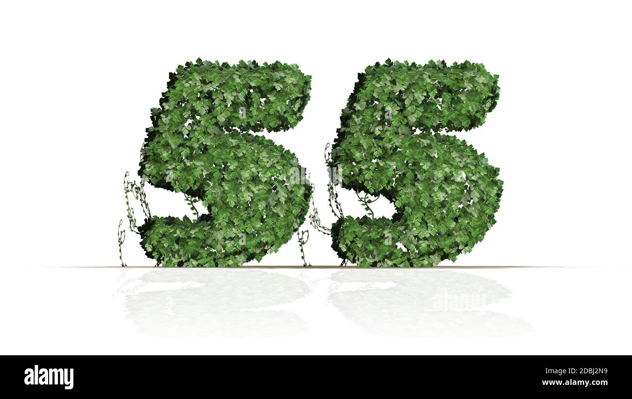 Number 55 created of green ivy leaves - isolated on a white background ...
