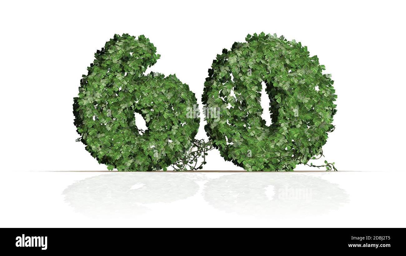 Number 60 created of green ivy leaves - isolated on a white background ...