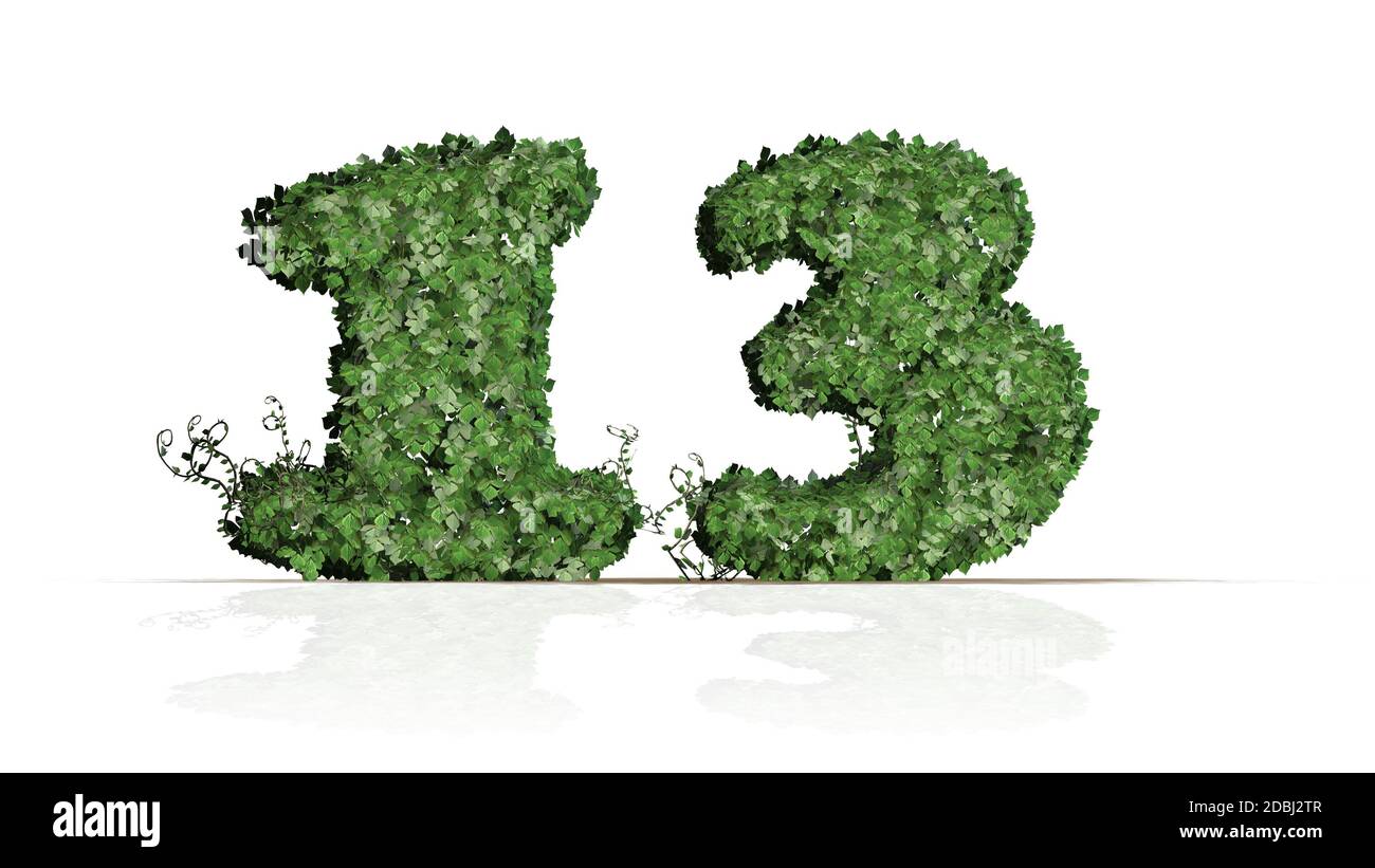 Number 13 created of green ivy leaves - isolated on a white background ...