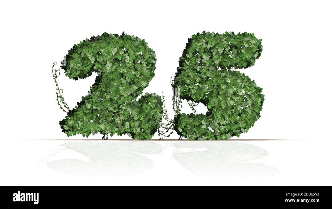 Number 25 created of green ivy leaves - isolated on a white background ...