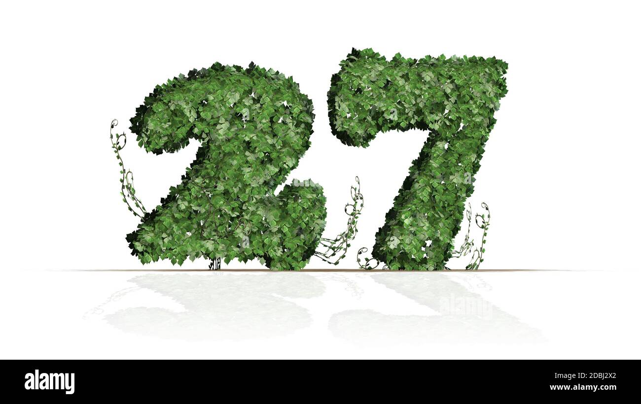 Number 27 created of green ivy leaves - isolated on a white background ...