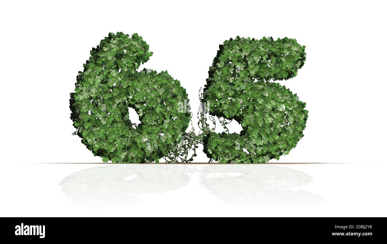 Number 65 created of green ivy leaves - isolated on a white background ...