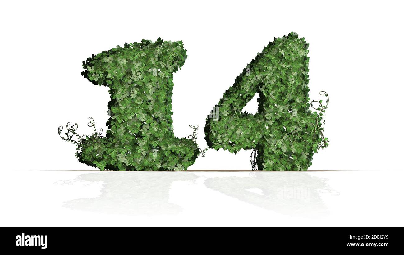 Number 14 created of green ivy leaves - isolated on a white background ...