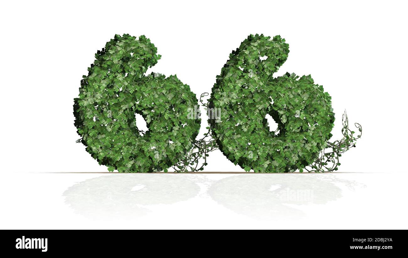Number 66 created of green ivy leaves - isolated on a white background ...