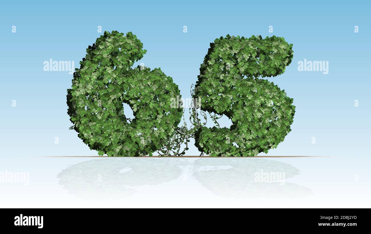 65 leaves hi-res stock photography and images - Alamy