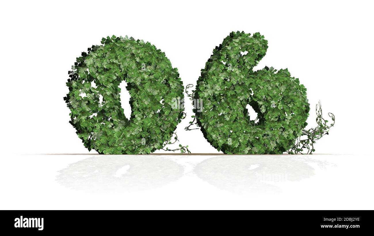 Number 06 created of green ivy leaves - isolated on a white background ...