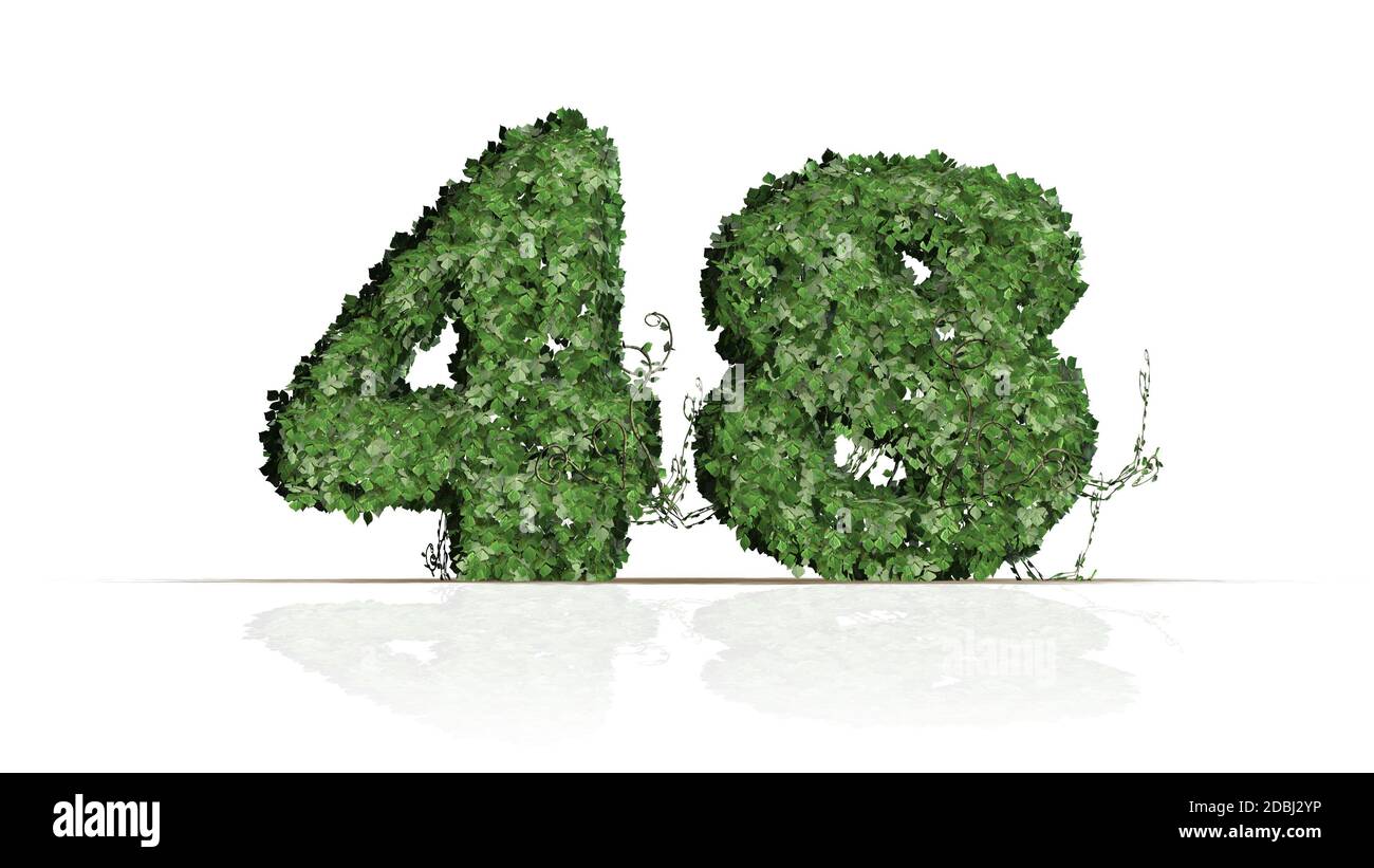 Number 48 created of green ivy leaves - isolated on a white background ...
