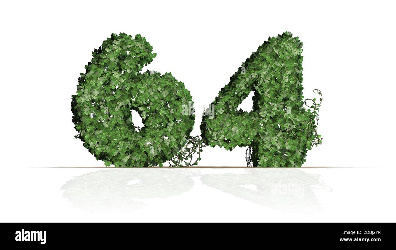 Number 64 created of green ivy leaves - isolated on a white background ...