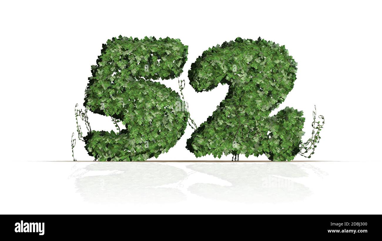 Number 52 created of green ivy leaves - isolated on a white background ...