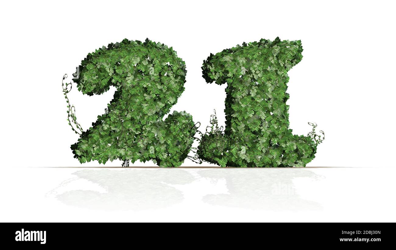 Number 21 created of green ivy leaves - isolated on a white background ...