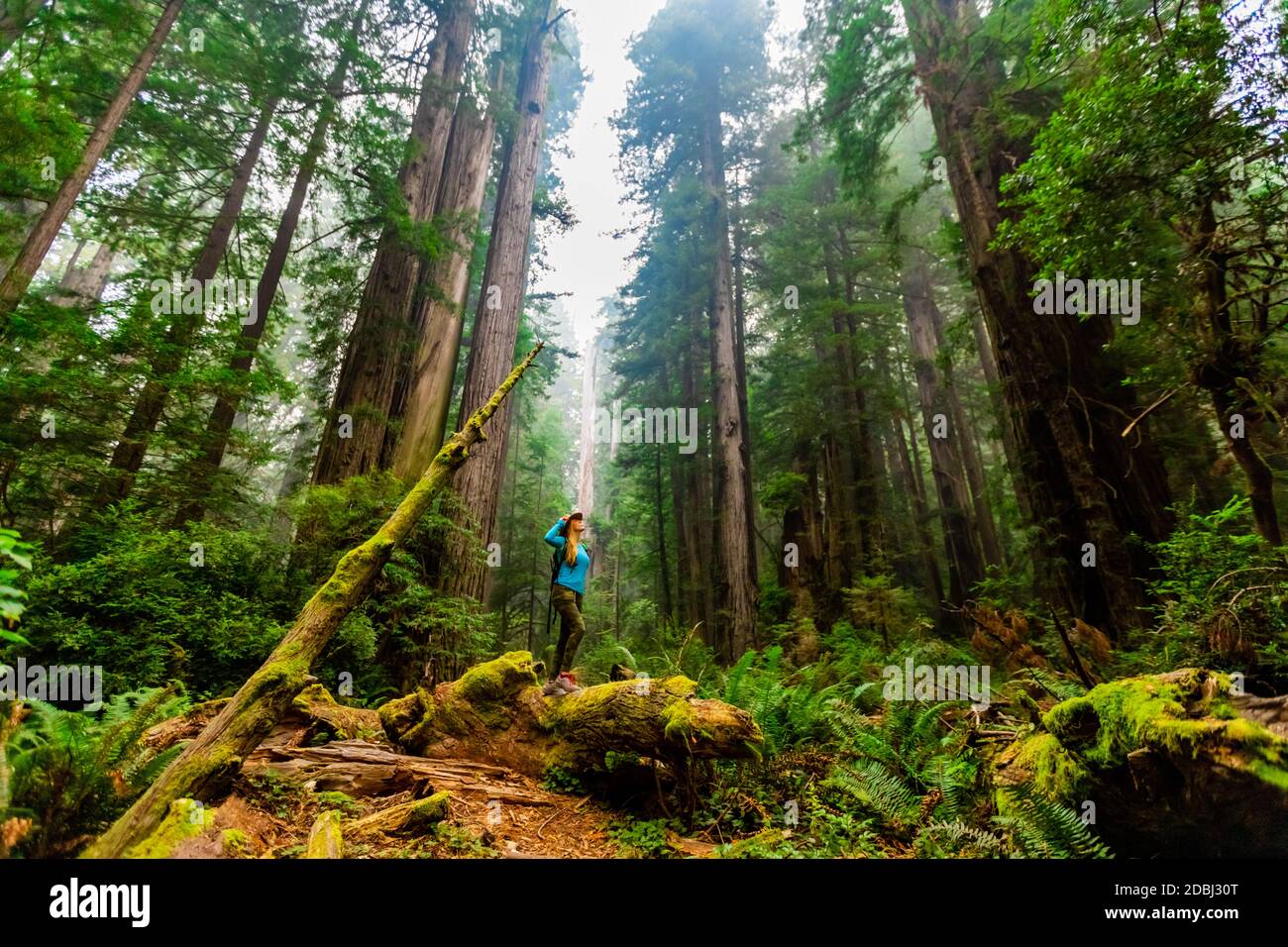 Woman exploring Mount Shasta Forest, California, United States of ...