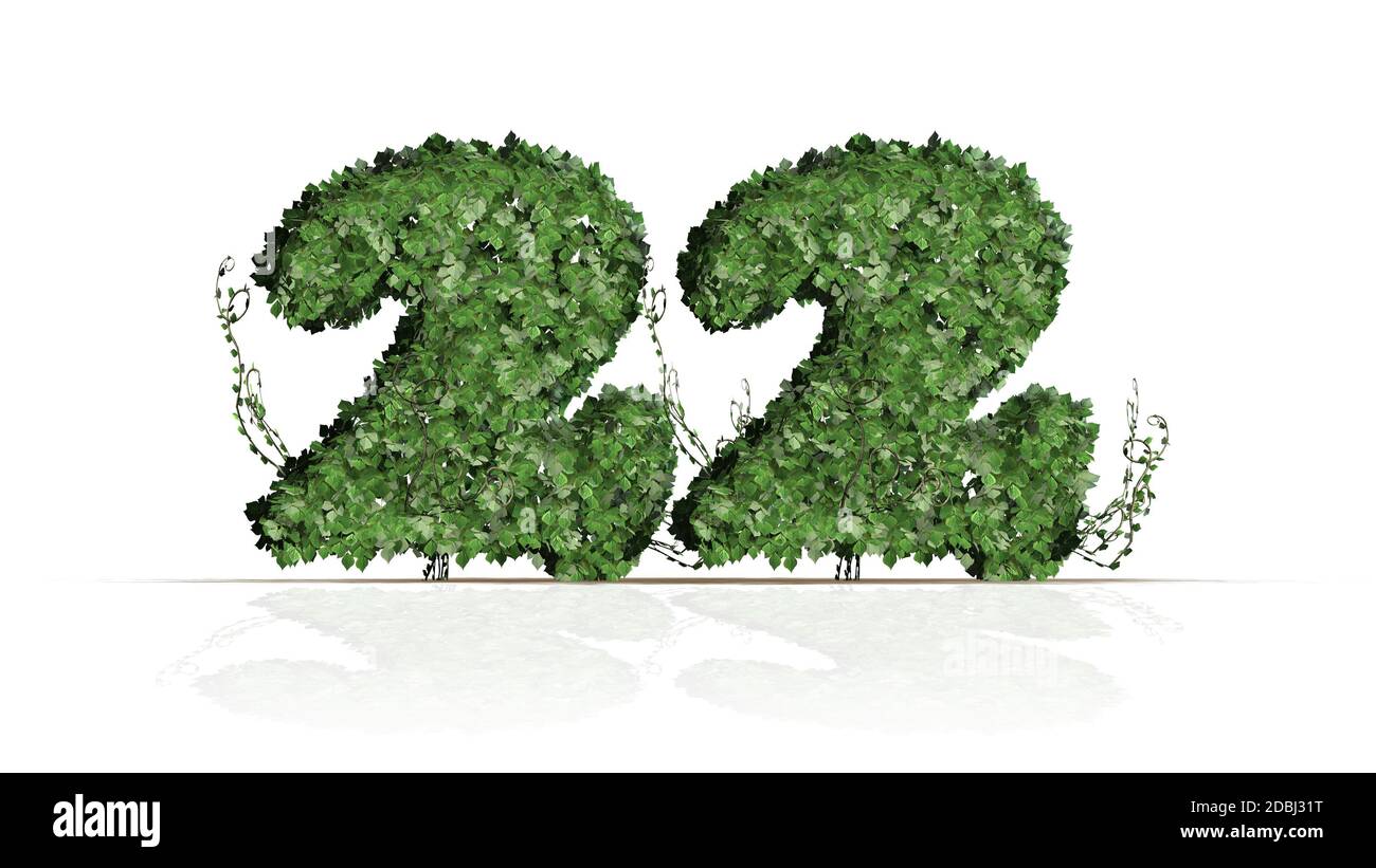 Number 22 created of green ivy leaves - isolated on a white background ...